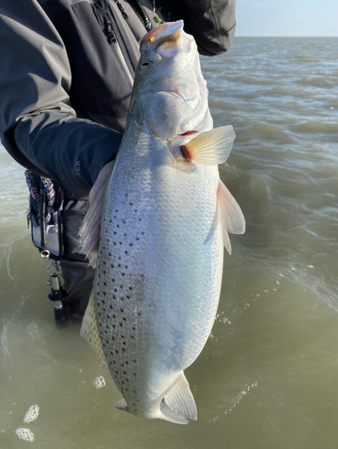 --ViewBlog-Jay Watkins - Professional Fishing Guide